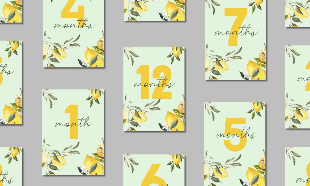 1-12 Month Baby Milestone Cards, Baby Girl Cards, Baby Girl Monthly ...