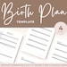 Birth Plan Template, Printable Birth Plan, New Mom Printable, Google ...