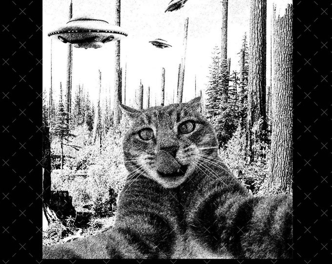 Funny Cat Ufo Cat Selfie Png Aliens Cat Lover Png , Cat Owner Png ...