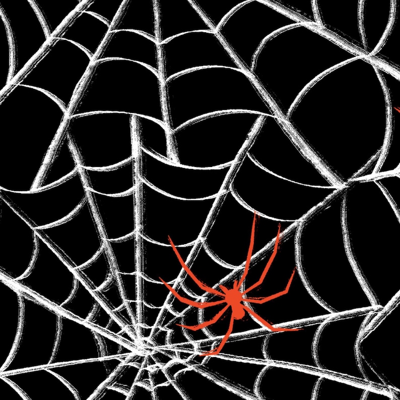 Spider Web Black Fabric Web to Weave Cotton Quilting Halloween - Etsy