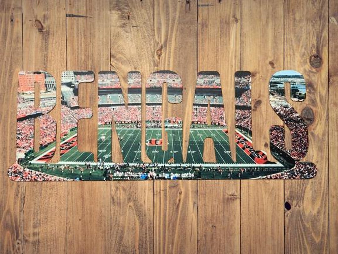 Cincinnati Bengals Text Photo Metal Sign - Paycor Stadium - Etsy