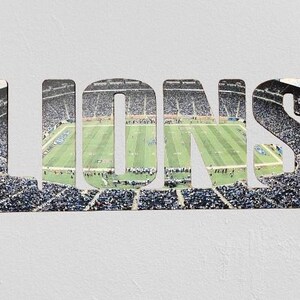 Detroit Lions Text Photo Metal Sign- Ford Field - Etsy