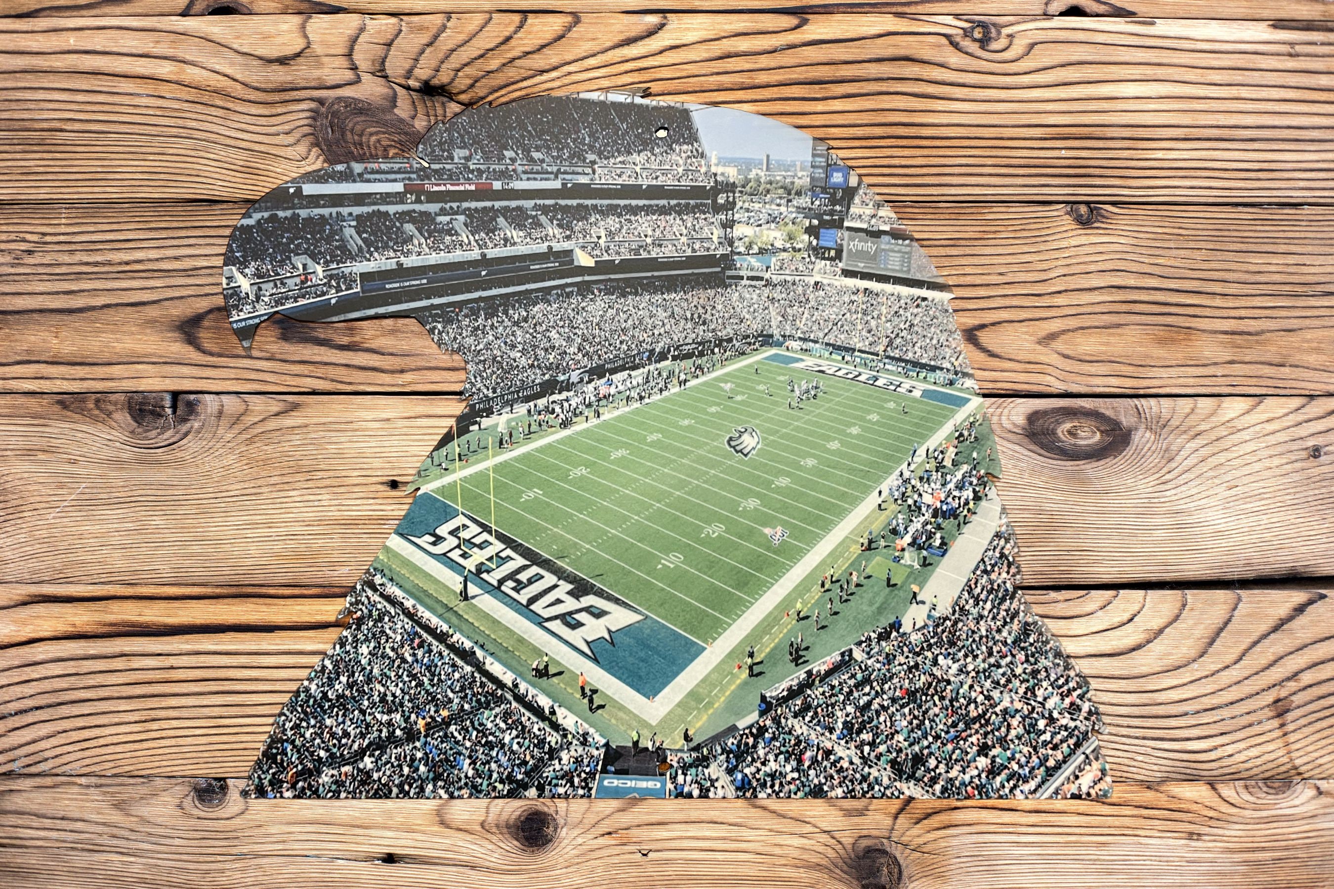 Philadelphia Eagles Corner Stadium Photo Metal Sign- Eagle Head - Etsy