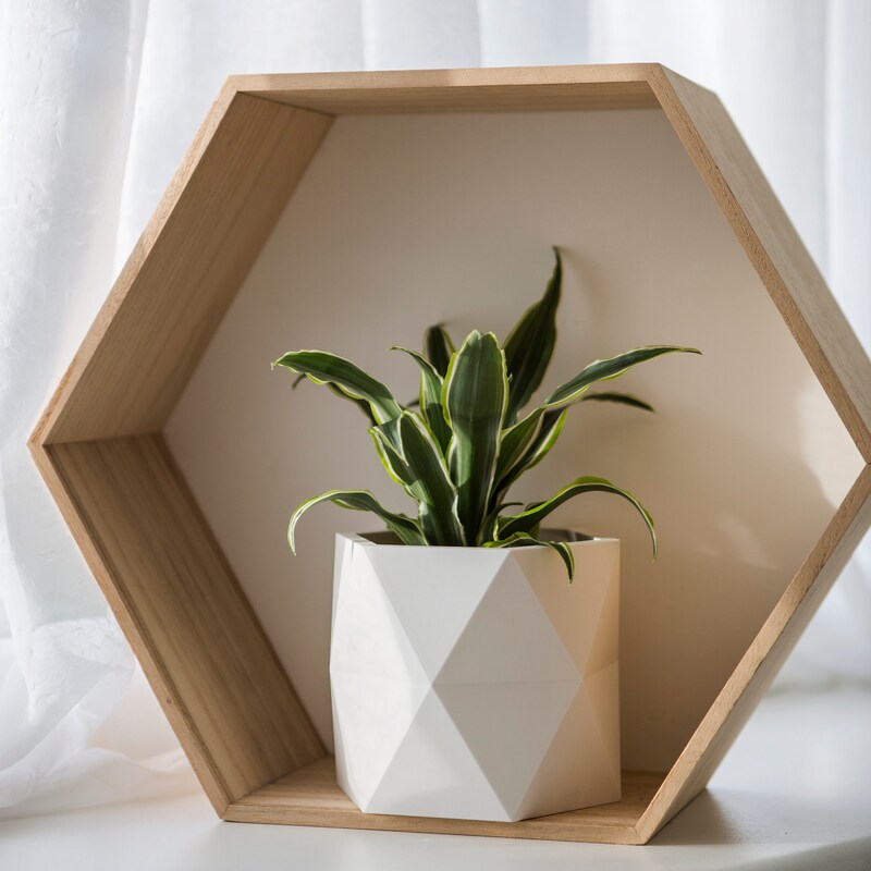 3d Printed Geometric Plant - Etsy