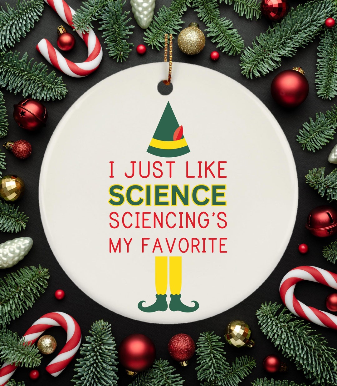 Science Teacher Christmas Ornament, Gift for Physics Teacher, Biology ...