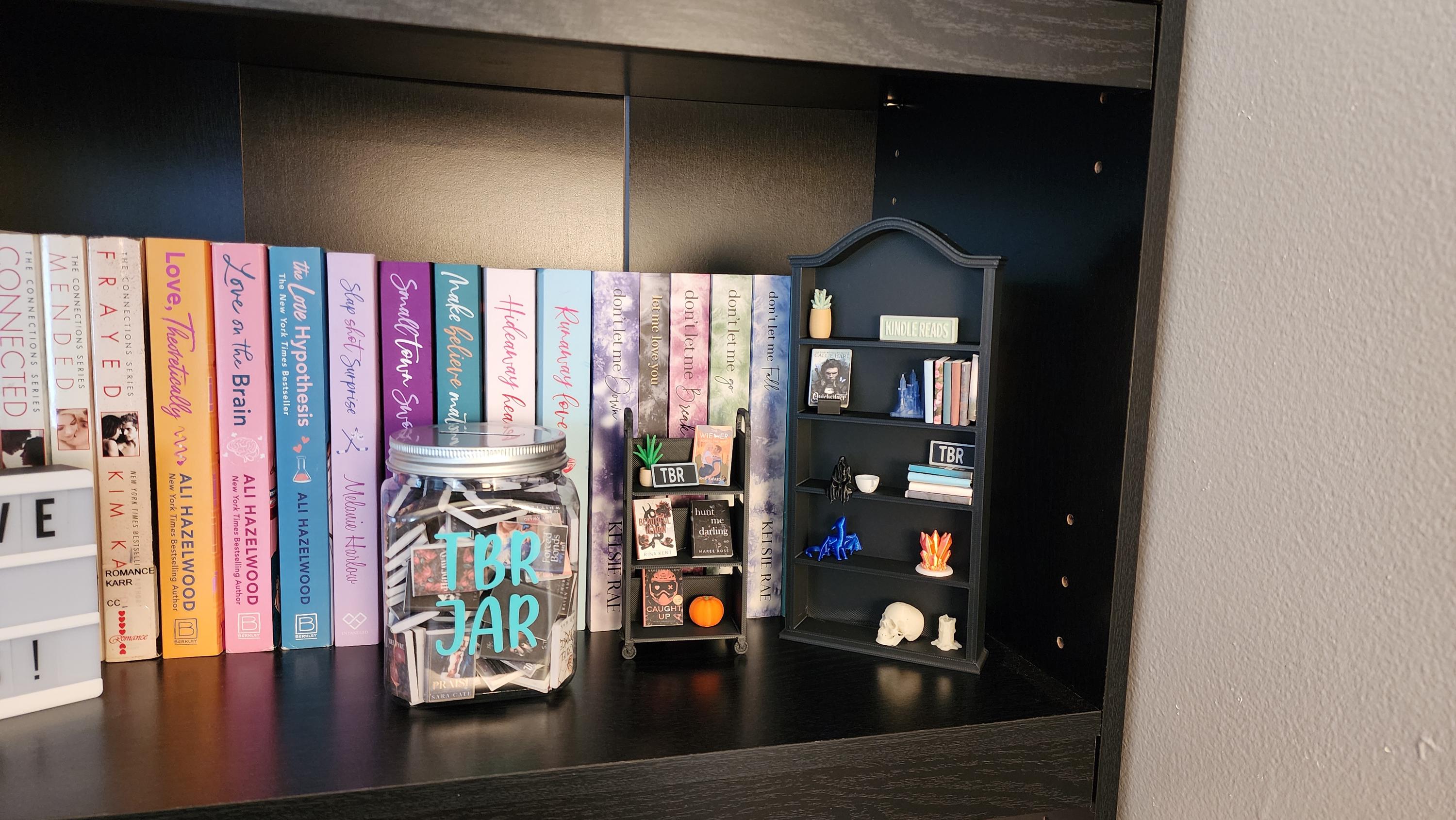 Miniature Library Bundle: Bookshelf, Decor, TBR Jar - Etsy