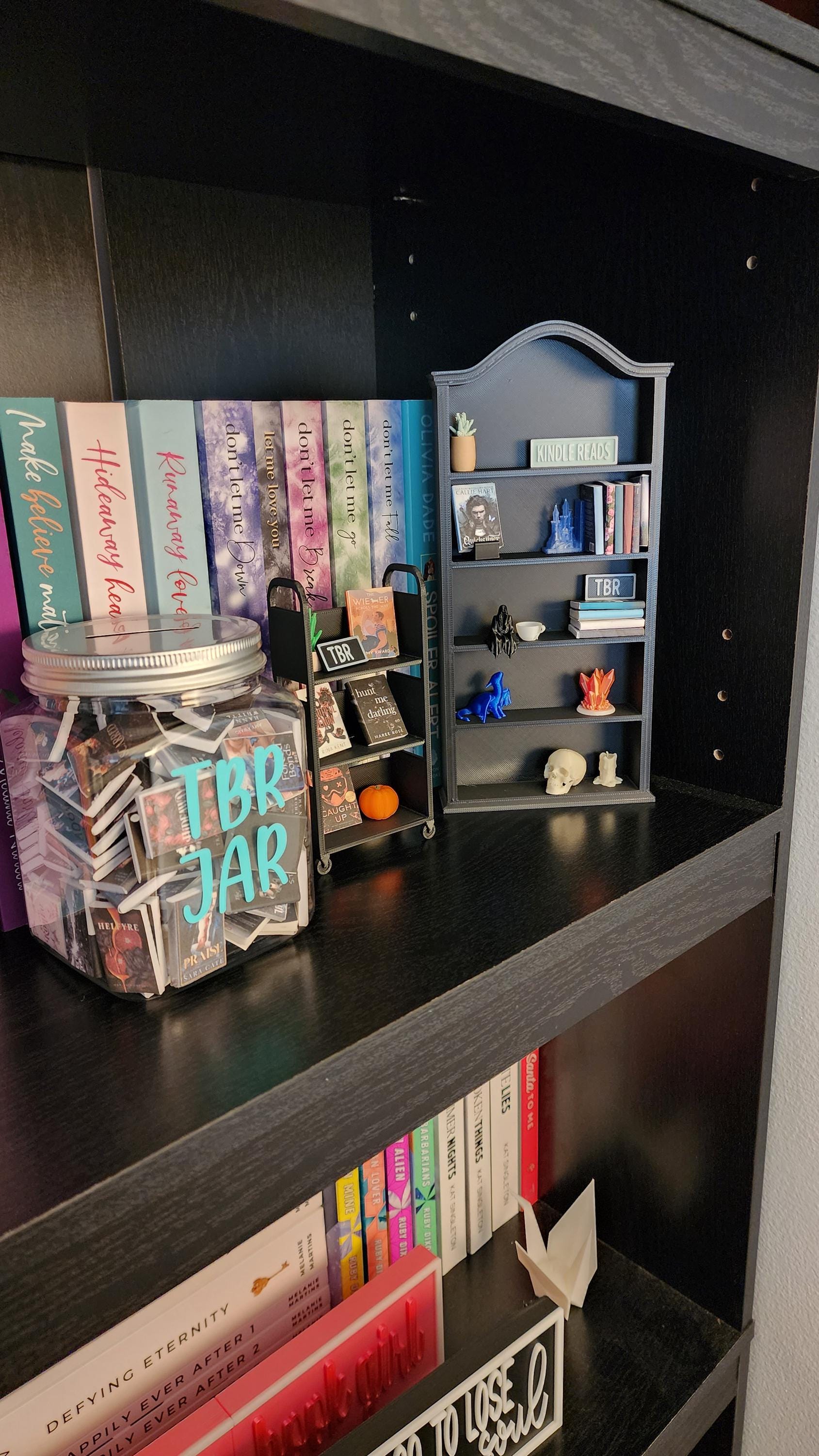Miniature Library Bundle: Bookshelf, Decor, TBR Jar - Etsy