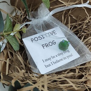 Positive Frog Gift Desk Buddy Cute Little Frog Pocket Hug Frog Lover ...