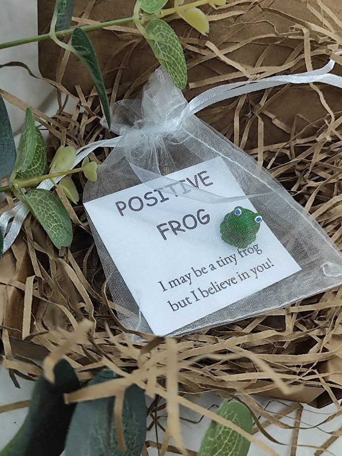 Positive Frog Gift Desk Buddy Cute Little Frog Pocket Hug Frog Lover ...