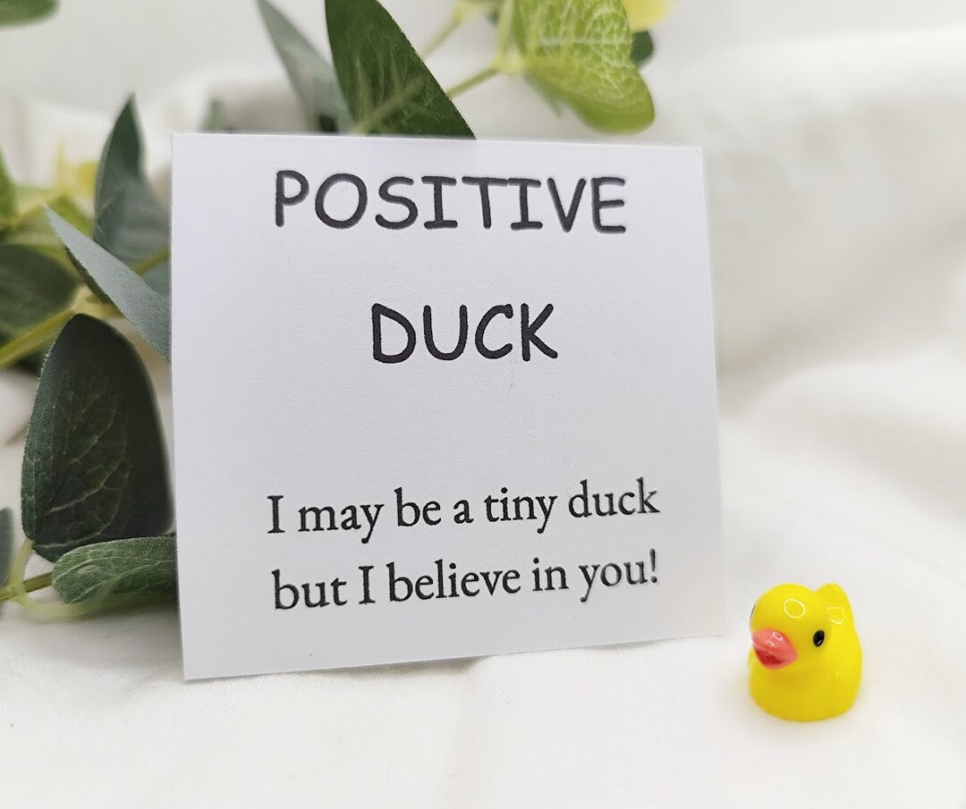 Positive Duck Gift Desk Buddy Cute Little Duck Pocket Hug Duck Lover ...