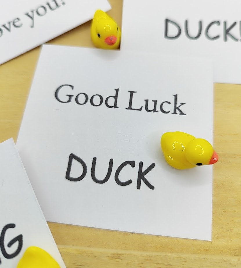 Duck Gift Cute Little Duck Pocket Hug Duck Lover Best Friend Gift ...