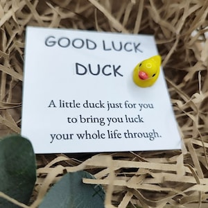 Good Luck Duck Good Luck Gift Cute Duck Gift Desk Buddy Cute Little ...