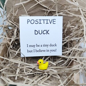 Positive Duck Gift Desk Buddy Cute Little Duck Pocket Hug Duck Lover ...