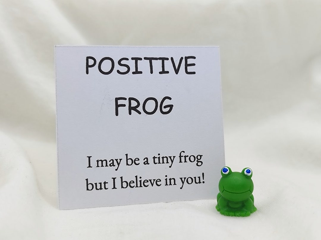 Positive Frog Gift Desk Buddy Cute Little Frog Pocket Hug Frog Lover ...
