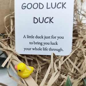 Good Luck Duck Good Luck Gift Cute Duck Gift Desk Buddy Cute Little ...