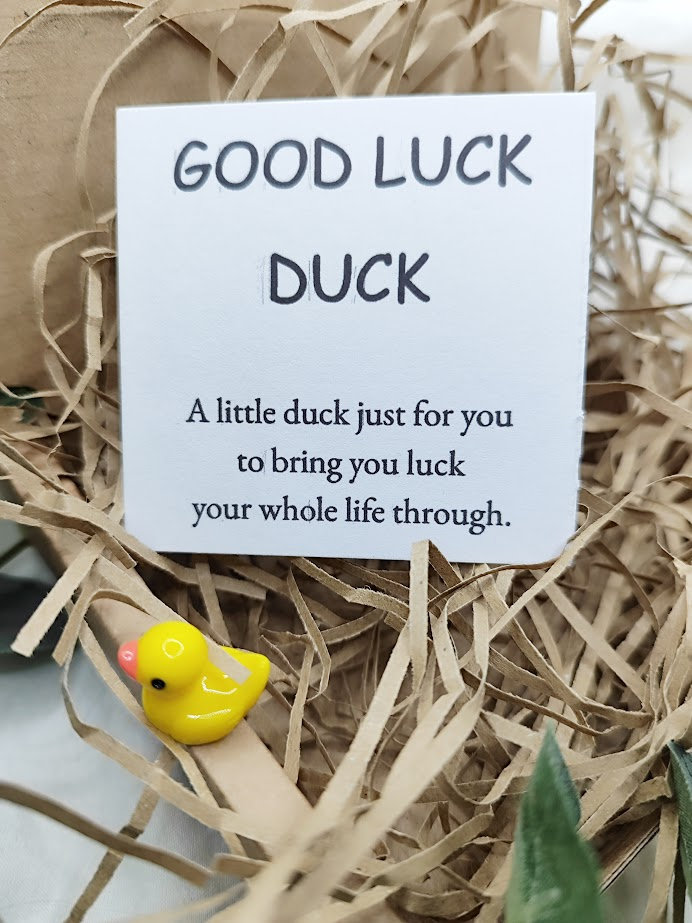 Good Luck Duck Good Luck Gift Cute Duck Gift Desk Buddy Cute - Etsy