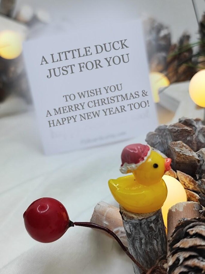 Christmas Duck Cute Duck Gift Pocket Hug Stocking Stuffer Festive Gift ...