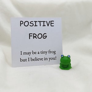 Positive Frog Gift Desk Buddy Cute Little Frog Pocket Hug Frog Lover ...