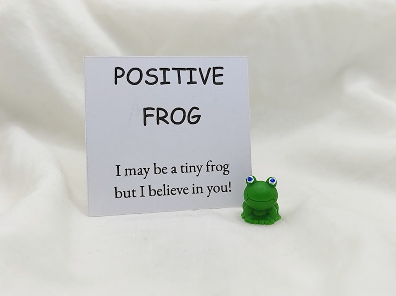 Positive Frog Gift Desk Buddy Cute Little Frog Pocket Hug Frog Lover ...