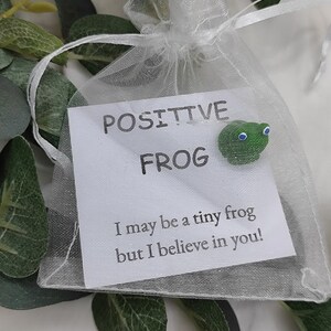 Positive Frog Gift Desk Buddy Cute Little Frog Pocket Hug Frog Lover ...