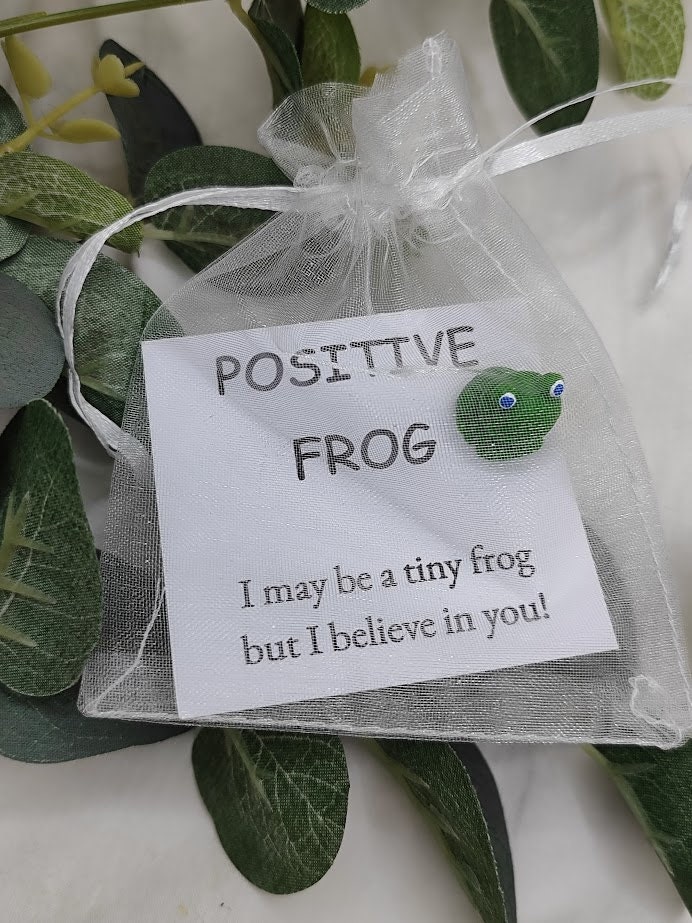 Positive Frog Gift Desk Buddy Cute Little Frog Pocket Hug Frog Lover ...