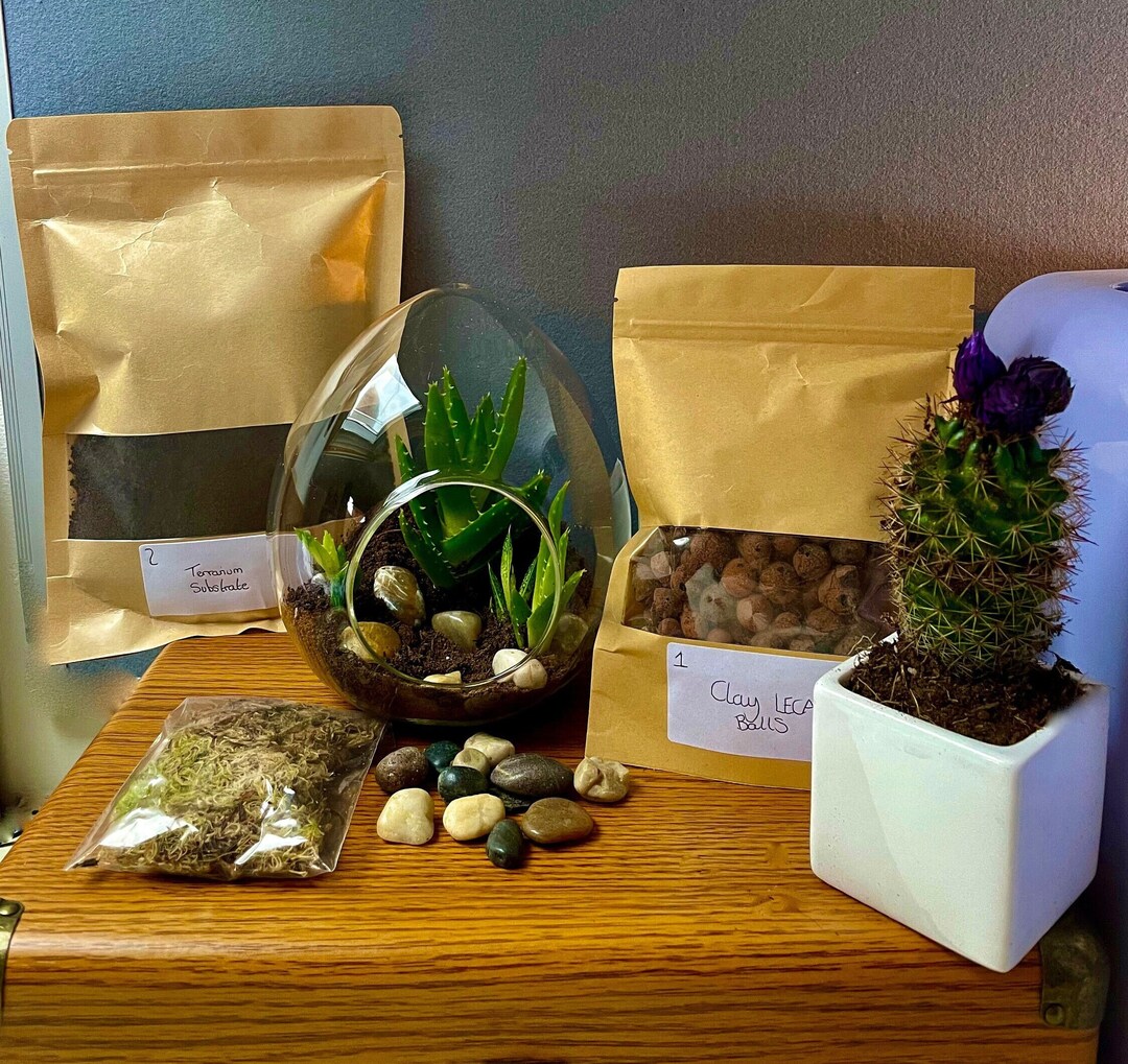 Egg Terrarium Kitmake Your Own Terrariumegg Glass Terrariumglass ...