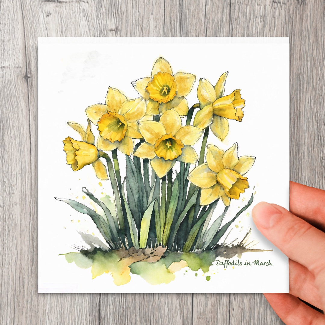 DAFFODILS Birth Flower Card 5.5x5.5 Square Greeting Card With Envelope ...