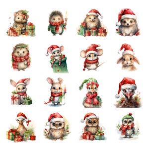 Christmas Baby Animals Clipart, Woodland Christmas Animal Clipart ...