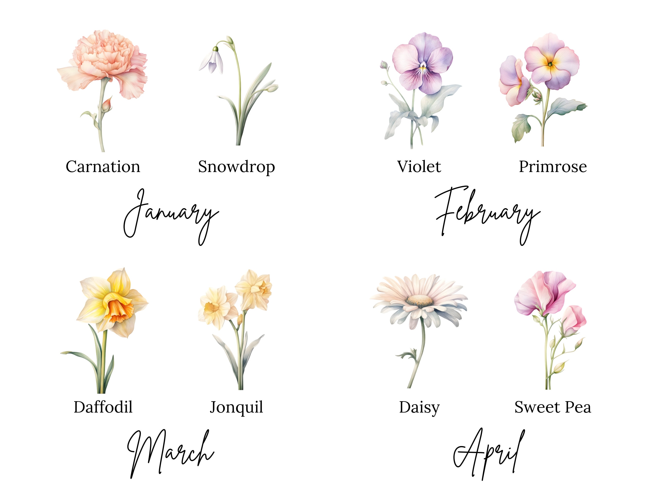 Watercolor Birth Month Flower SVG Clipart Bundle, Pastel Birth Month ...
