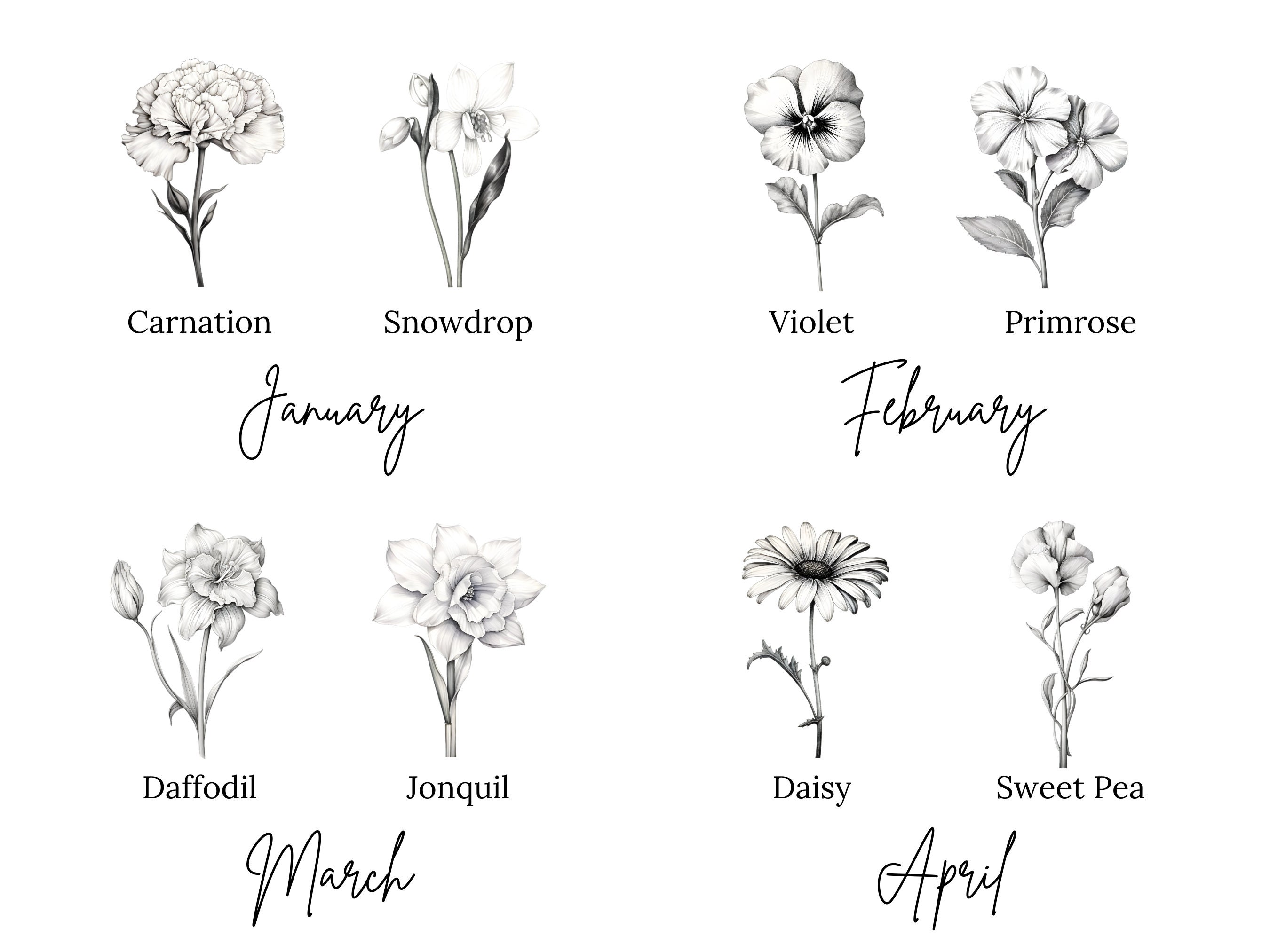Watercolor Birth Month Flower SVG Clipart Bundle, Black and White Birth ...