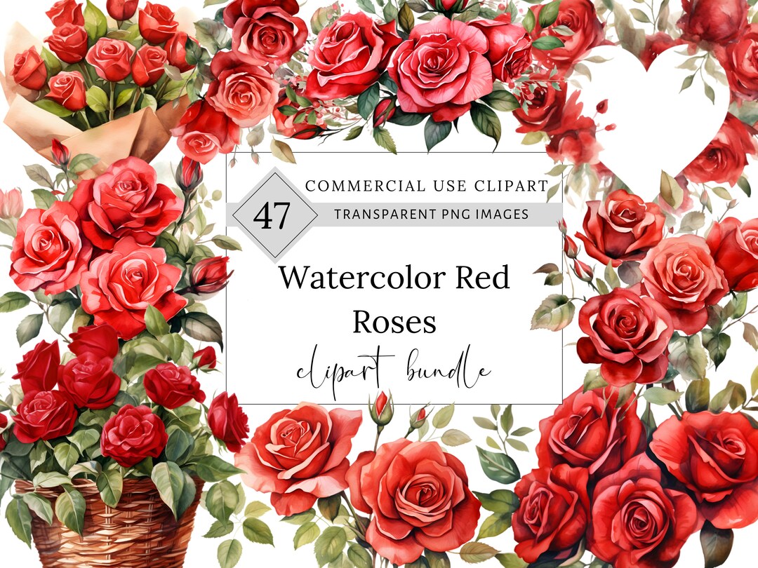 Red Rose Watercolor Clipart Bundle, Floral Bouquet Clip Art, Valentines ...