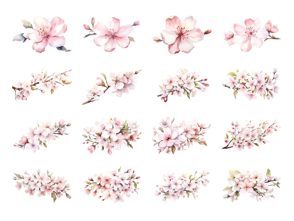 Watercolor Cherry Blossom Clipart Bundle, Floral Watercolor PNG, Sakura ...