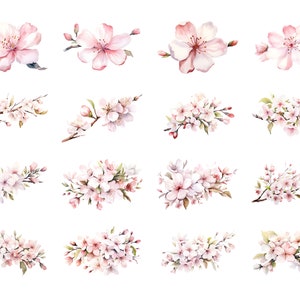 Watercolor Cherry Blossom Clipart Bundle, Floral Watercolor PNG, Sakura ...