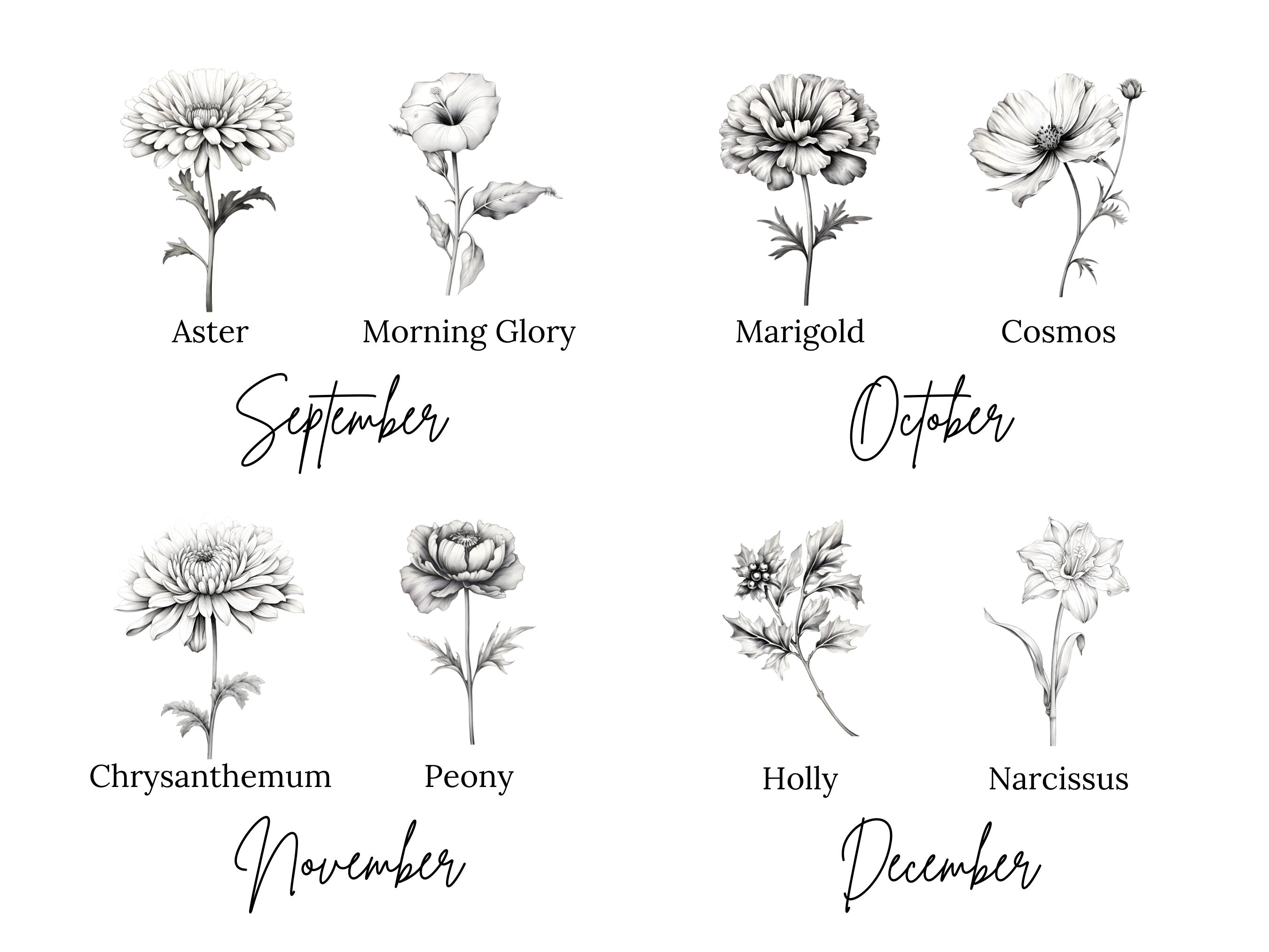 Watercolor Birth Month Flower SVG Clipart Bundle, Black and White Birth ...