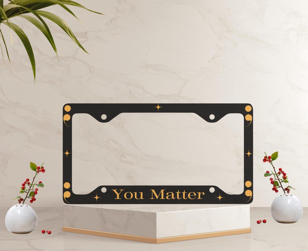Metal License Plate Frame You Matter Inspiring Car Accessories ...