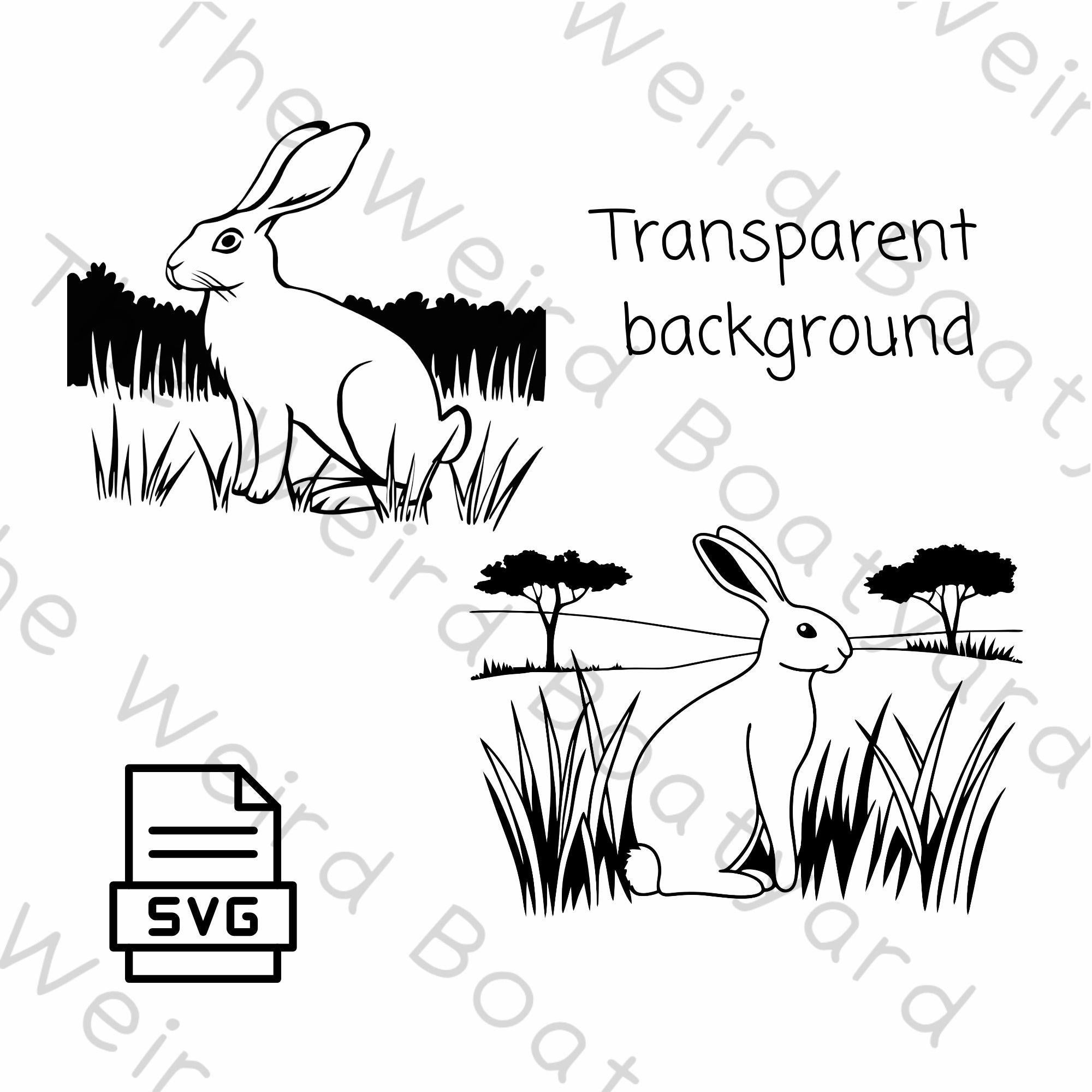 10 Hare SVG Clipart, SVG Files With Transparent Backgrounds ...
