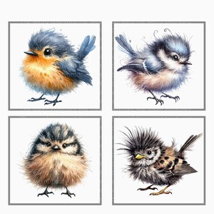 15 Cute Scruffy Birds PNG, Whimsical Watercolour Birds Clipart ...