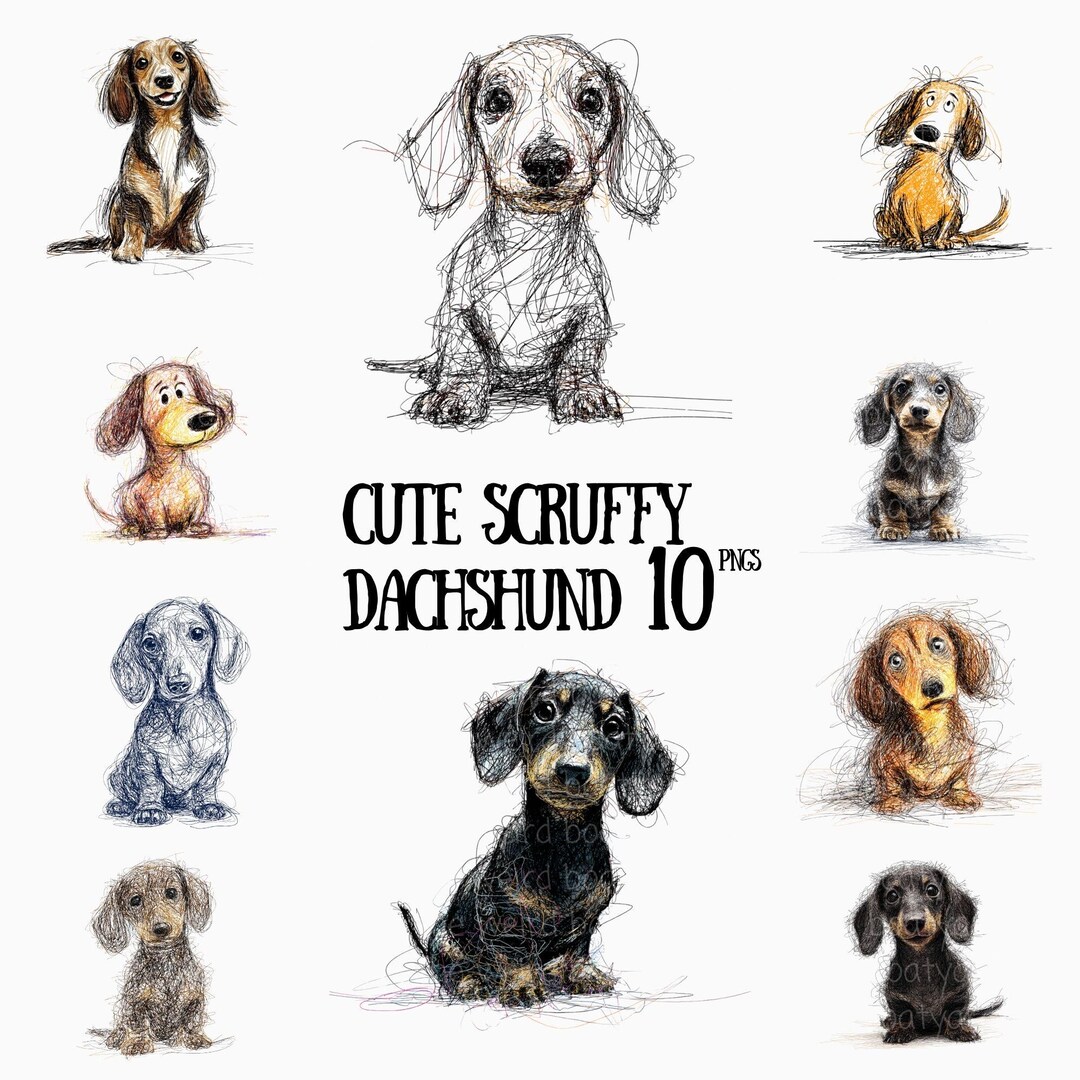Scruffy Dachshund PNG Clipart: Sausage Dog Digital Art (digital ...