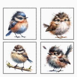 15 Cute Scruffy Birds PNG, Whimsical Watercolour Birds Clipart ...