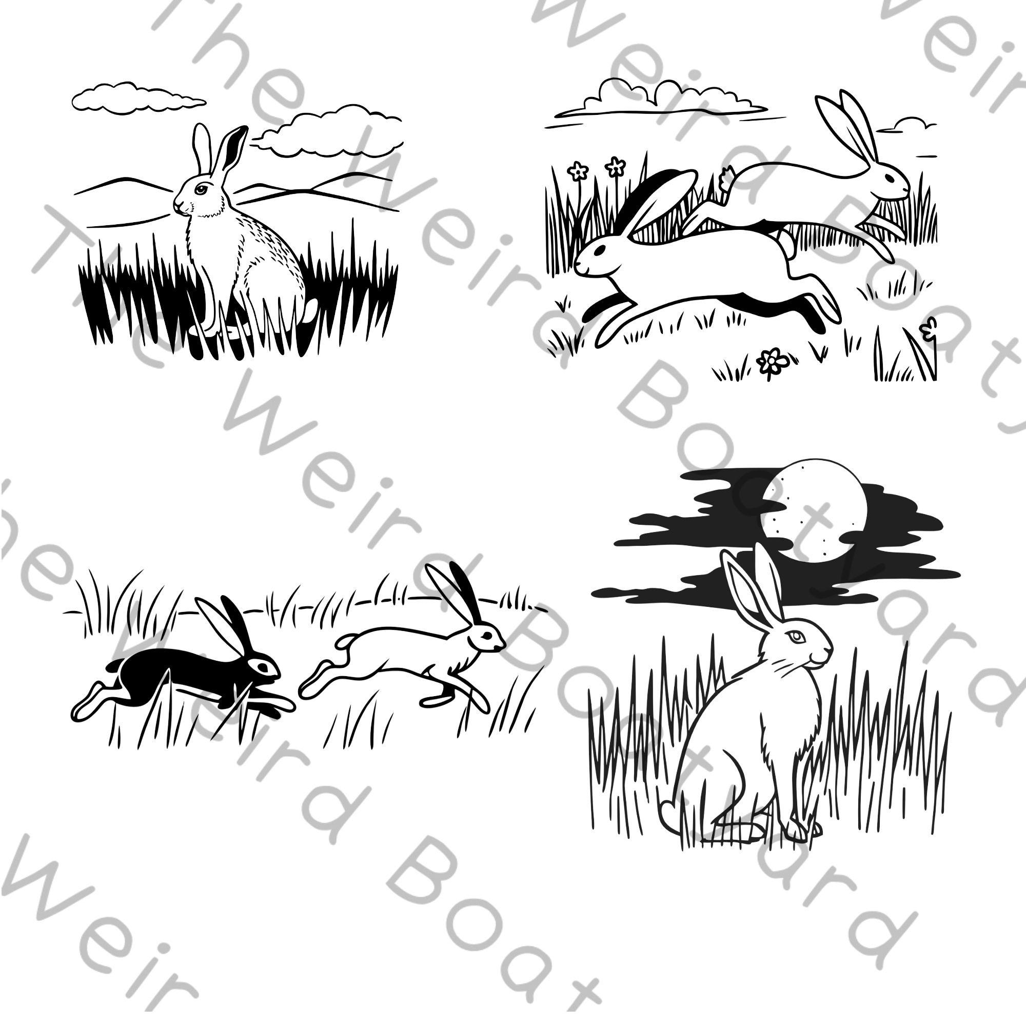 10 Hare SVG Clipart, SVG Files With Transparent Backgrounds ...