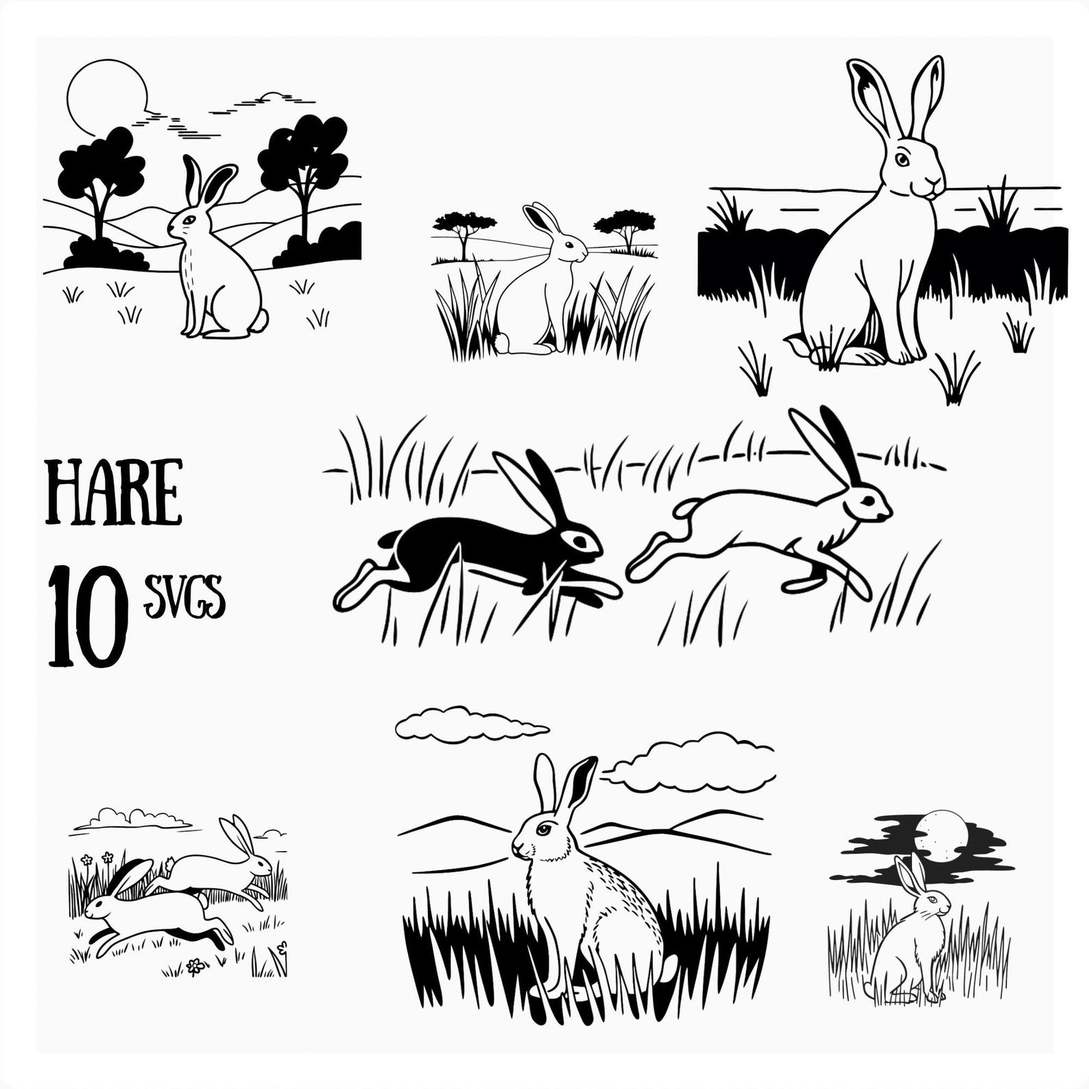 10 Hare SVG Clipart, SVG Files With Transparent Backgrounds ...