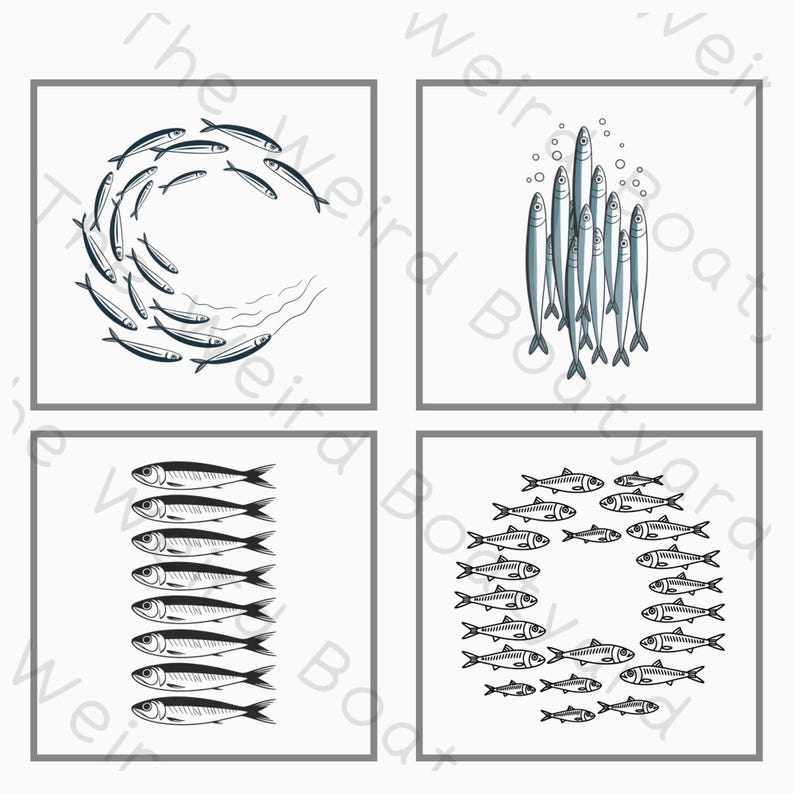 Sardine Line Art Clipart, Nautical Fisherman Pngs (digital Download) - Etsy