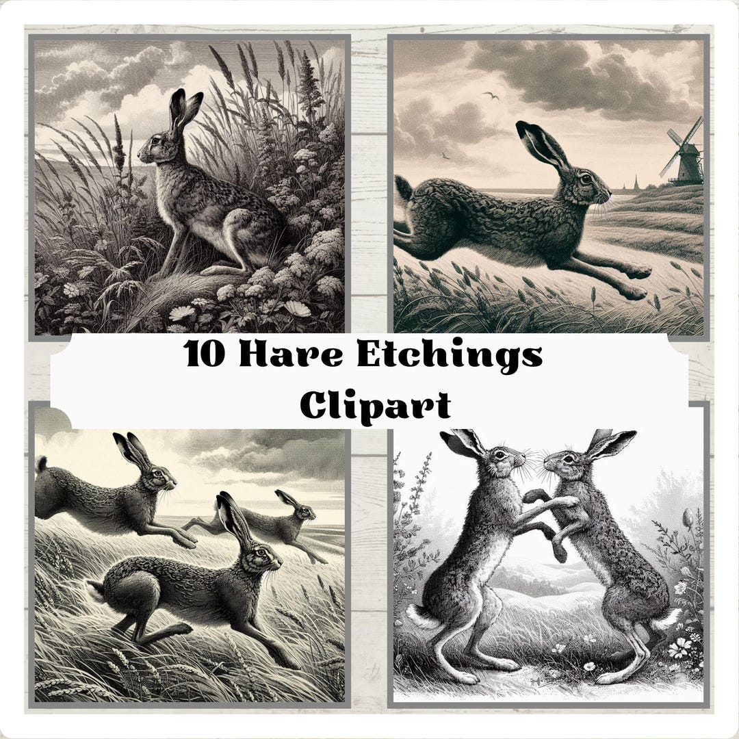 10 Vintage Etched Hares Digital Clipart Majestic Hare Illustrations ...
