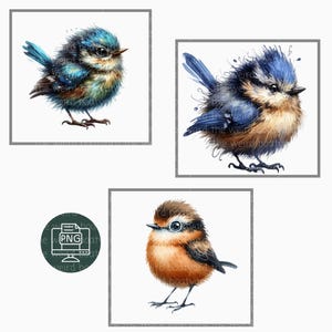 15 Cute Scruffy Birds PNG, Whimsical Watercolour Birds Clipart ...