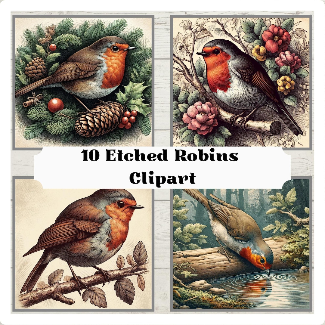 10 Digital Robin Images Old Etching Style Vintage Bird Art Nature Decor ...