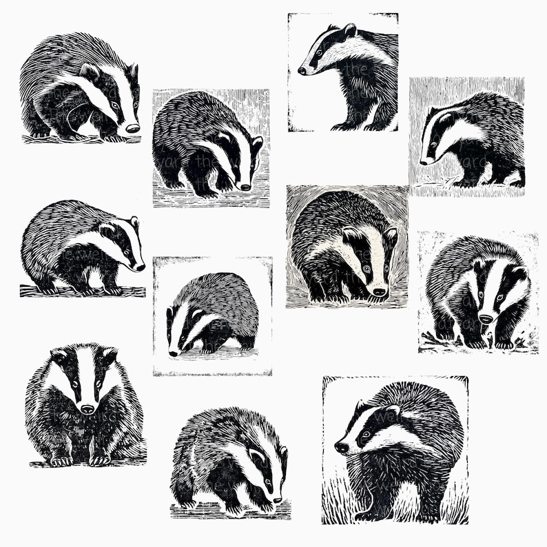 Linocut Badger Clipart: Rustic Woodland Animal PNG Graphics (digital ...