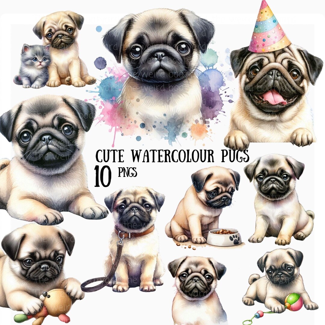 Watercolor Pug Clipart: Puppy PNG Images (commercial License) - Etsy
