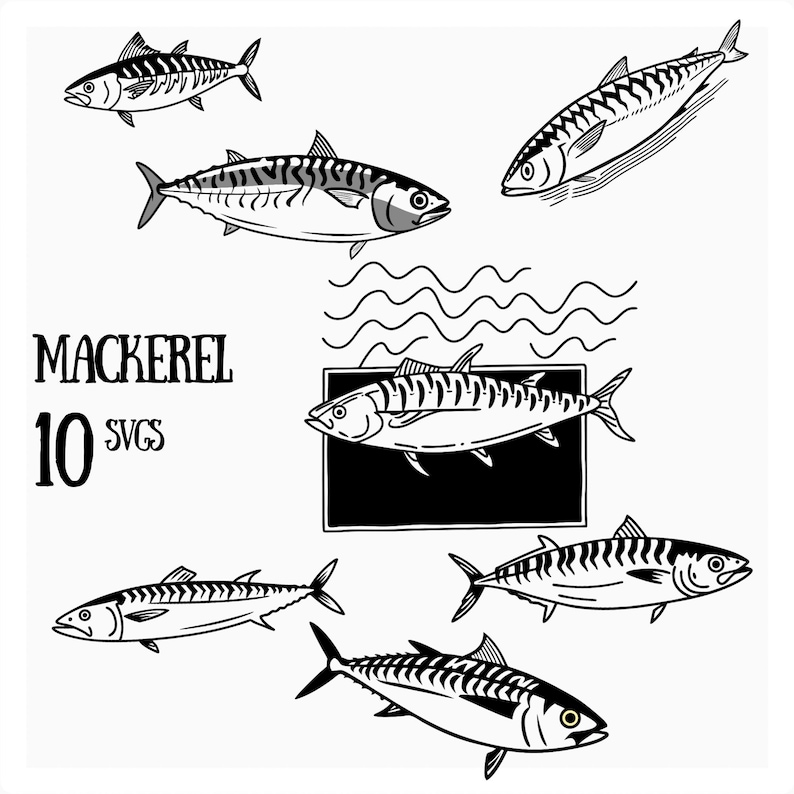 10 Mackerel SVG Clipart, SVG Files With Transparent Backgrounds ...