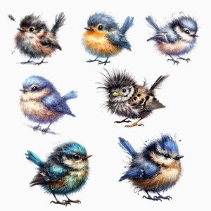 15 Cute Scruffy Birds PNG, Whimsical Watercolour Birds Clipart ...