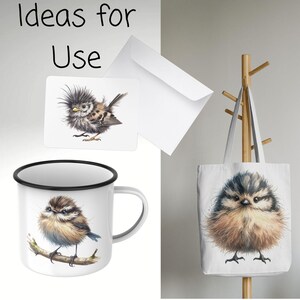 15 Cute Scruffy Birds PNG, Whimsical Watercolour Birds Clipart ...